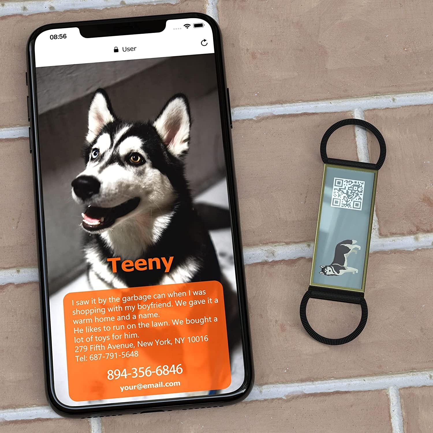 Siberian Husky DISONTAG QR Code Breeds Dog ID Tags Slide-on ID Dog Tag ...