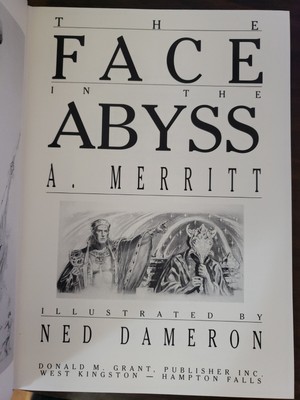 The Face in the Abyss by Abraham Merritt (Hardcover) 9780937986011 | eBay
