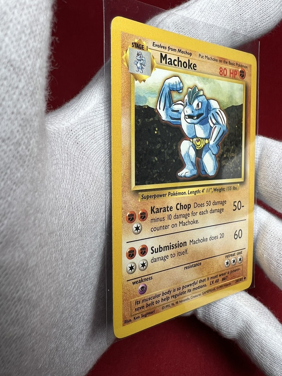 Machoke Gebruikte Pond Biotona Maqui Raw Bio Kopen Bij Holland