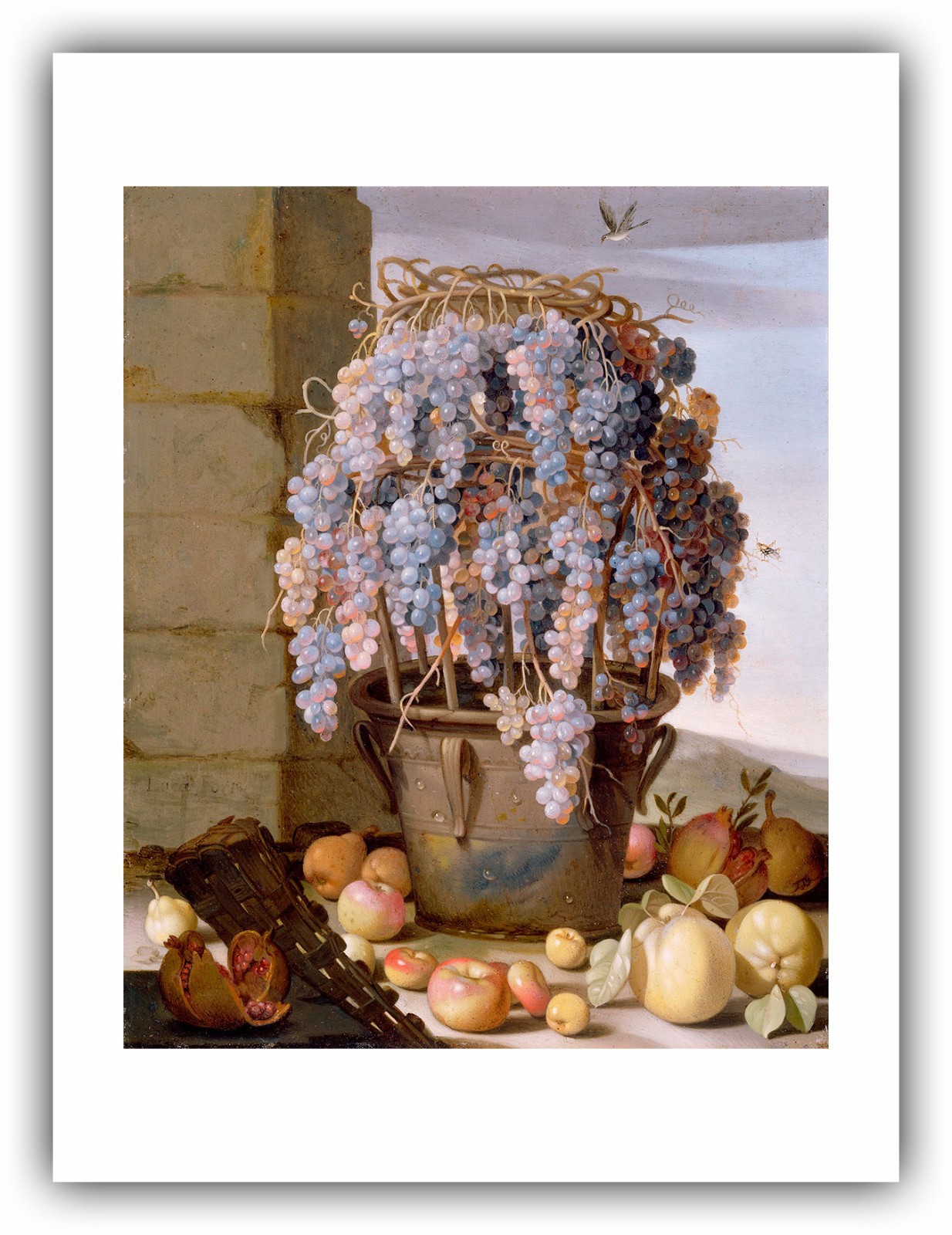 Luca Forte : "Still Life with Grapes and other Fruit" (1630s) - Fine ...