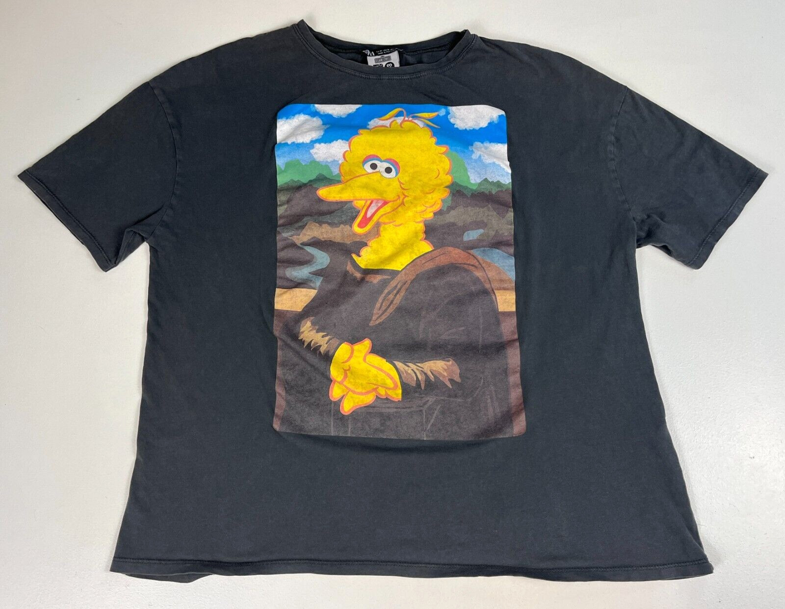 Women’s Zara Sesame Street 50 Years and Counting T-sh… - Gem