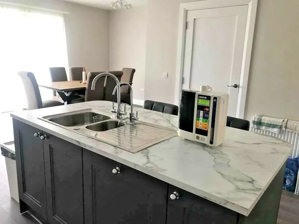 12" Kangen Enagic Ionizer Faucet - Satin Nickel -Under Sink Mount | eBay