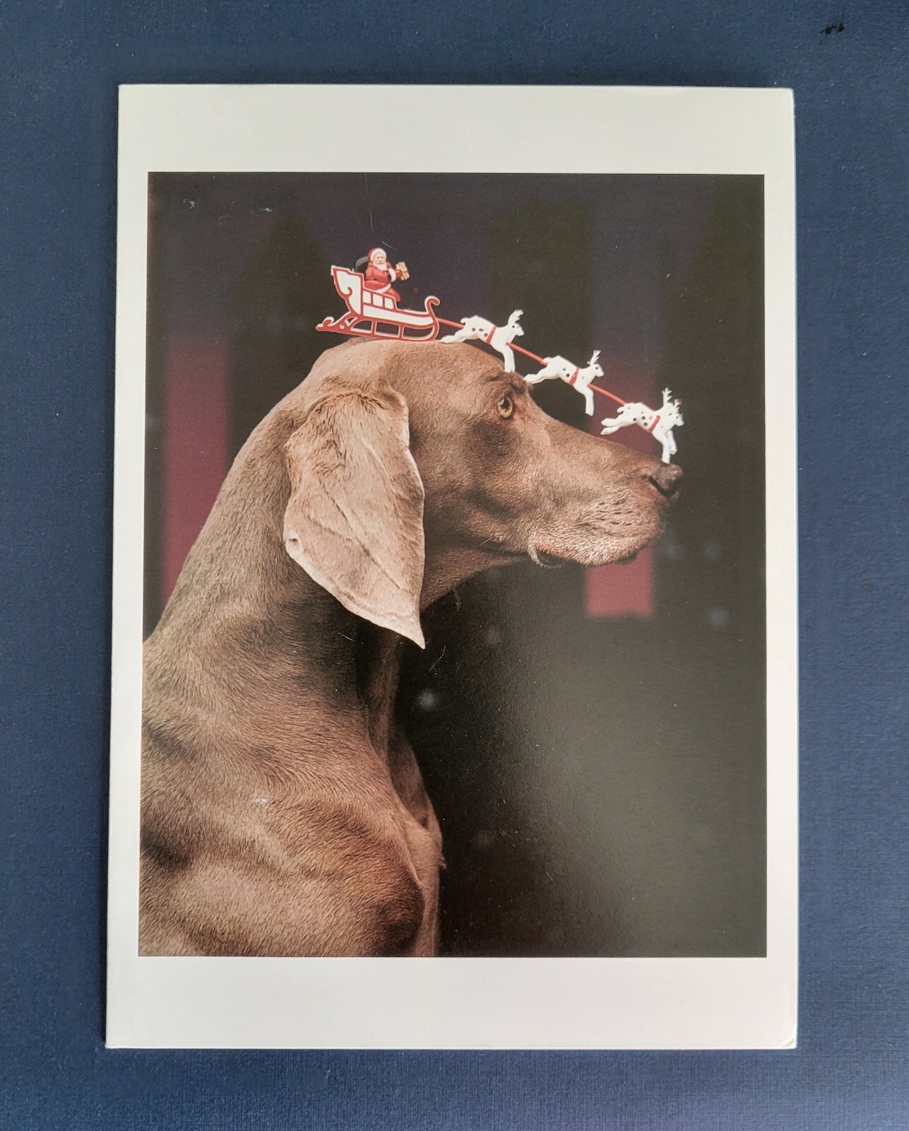 Halle Berry signed 1994 Greeting Card with original mailer Psa ...