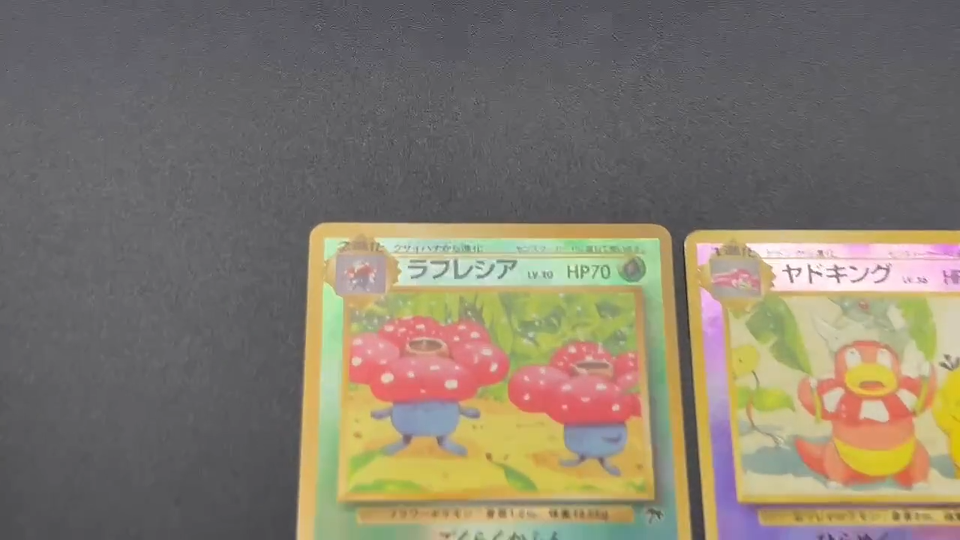 Holo Complete Southern Islands Collection File 6Set Rainbow Tropical ...