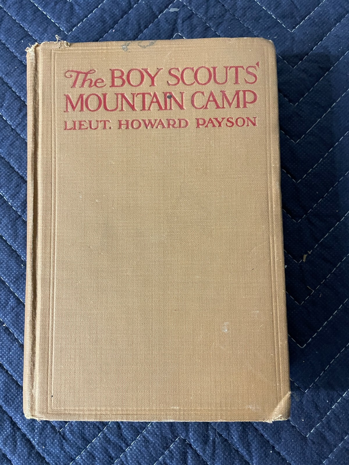 Vintage Youth Novel, 'The Boy Scouts Mountain Camp' by Howard Payson ...