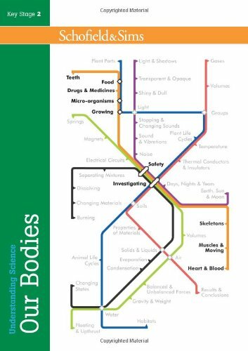 Understanding Science: Our Bodies (Series of 6): KS2 by Penny Johnson ...