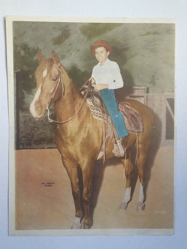 MY FRIEND FLICKA! - ORIGINAL POSTER CANAL TV - ARGENTINA 1960's | eBay
