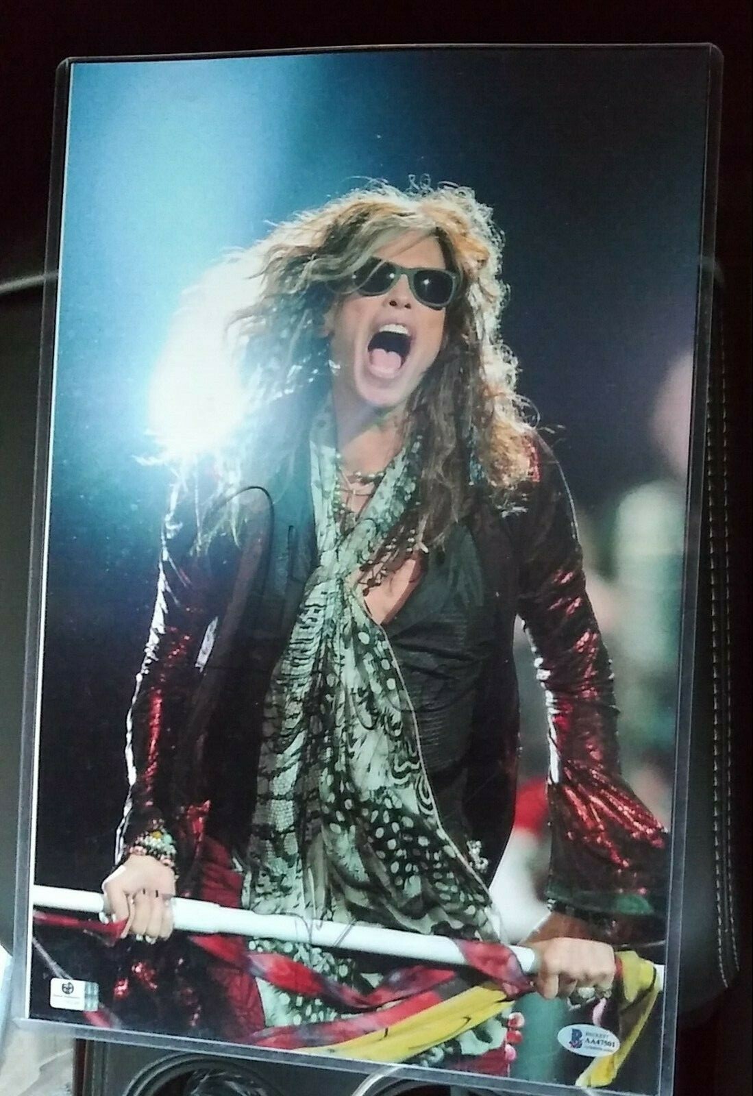 Steven Tyler Autographed Memorabilia | Signed Photo, Jersey ...