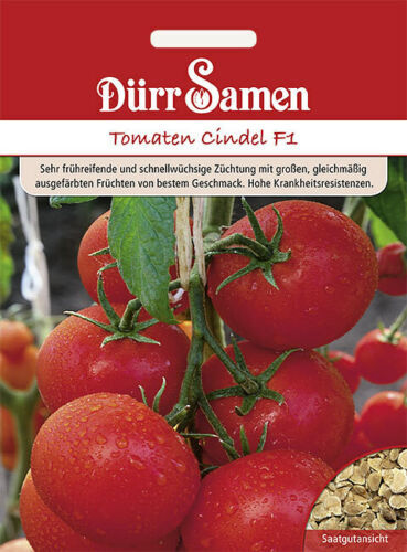 Tomates Cindel F1 Semillas De Dürr Samem Buena | eBay