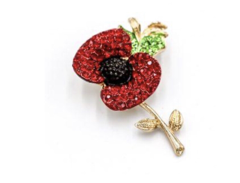 Poppy Brooch | eBay