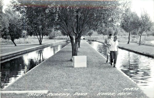 A View Of The Trout Rearing Pond, Honor, Michigan MI RPPC | eBay