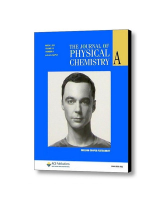 The Big Bang Theory Sheldon Cooper Journal of Physical Chemistry Framed ...