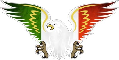 Vinyl Sticker Eagle Italy Flag Italian | eBay