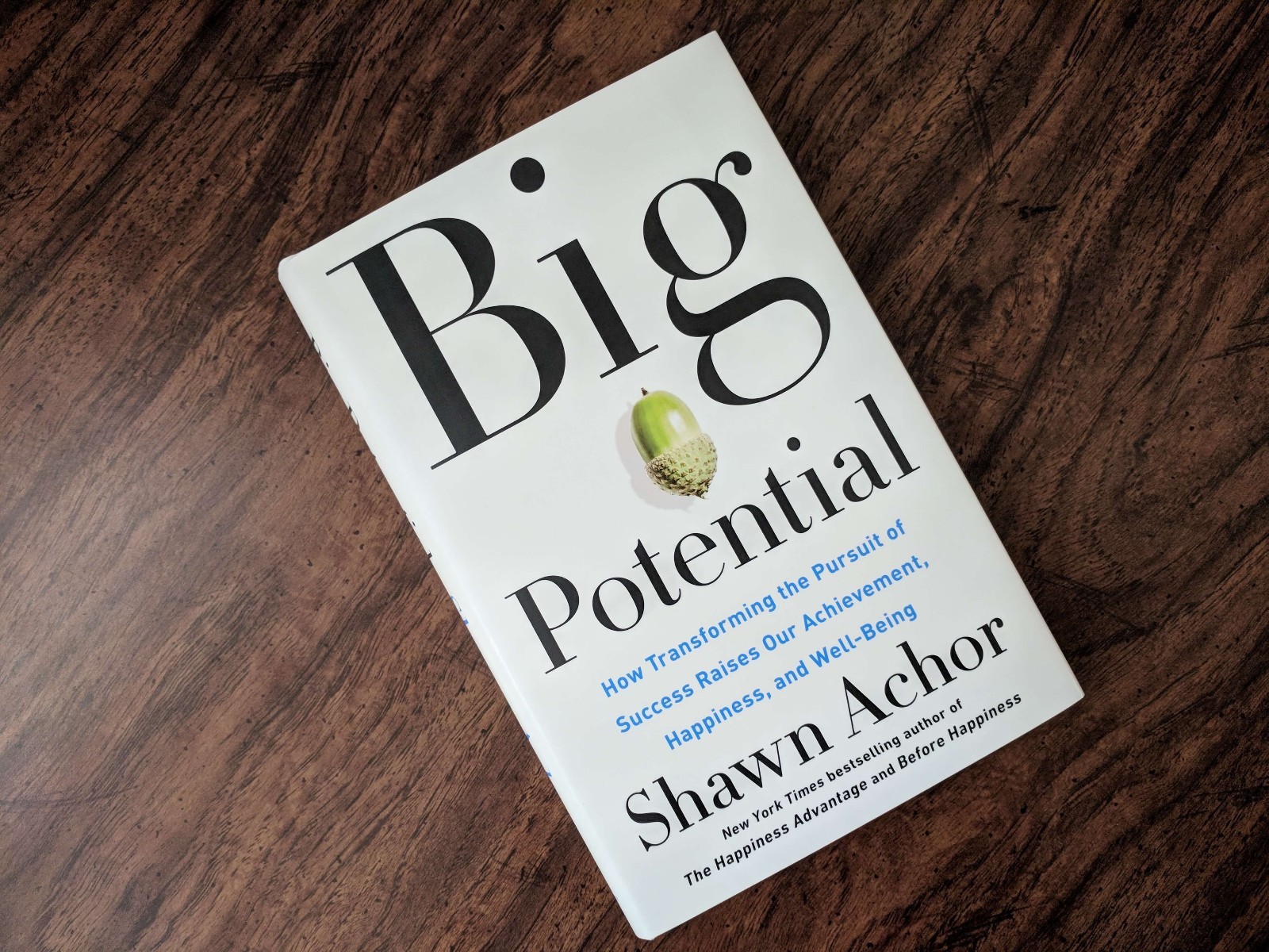 Achor Shawn Big Potential BOOK NEW Hard Cover 9781524761530| eBay
