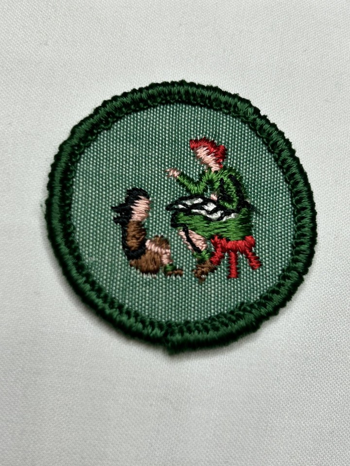 Vintage Girl Scout 60's Junior Merit Badge Patch ~ Storyteller | eBay