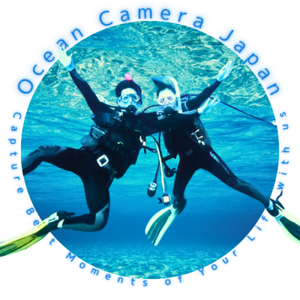 Ocean Camera Japan | eBay Stores