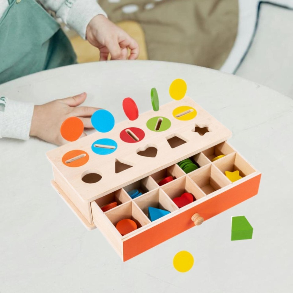Wooden Color Shape Sorting Matching Toys Montessori Toys for 1-3 Year ...