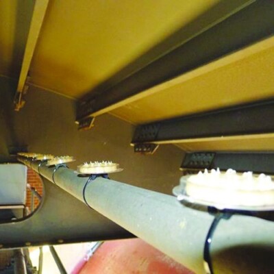 4x Bird Free Fire Gel Bird Repellent PROFESSIONAL Bird Pigeon Pest ...