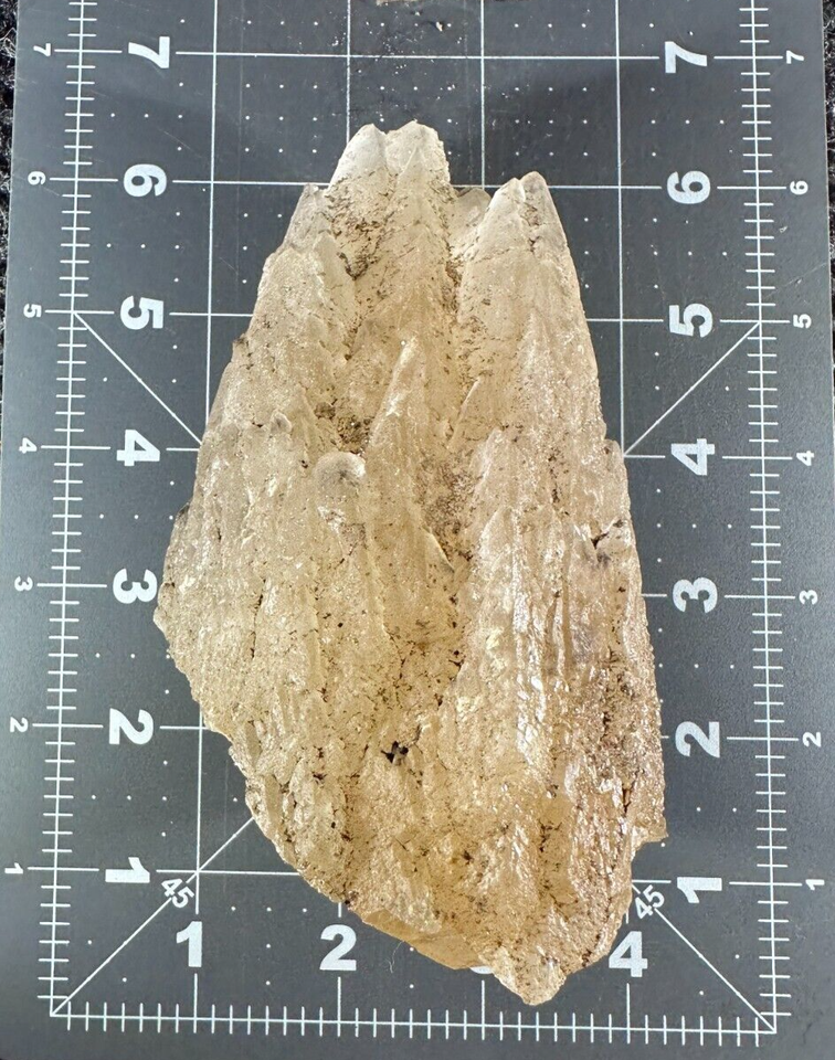 BIG 5-3/4" DOGTOOTH CALCITE CRYSTAL Pleasant Ridge Rensselaer Indiana ...