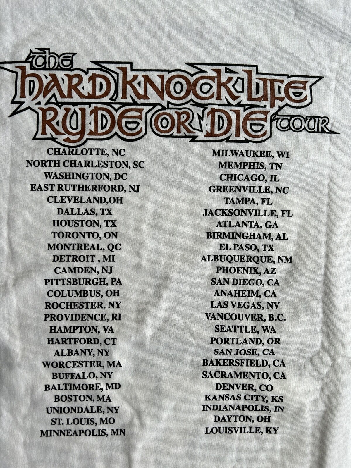 New- 1999 Vintage Hard Knock Life Tour Tshirt x 100% Authentic x DMX x ...