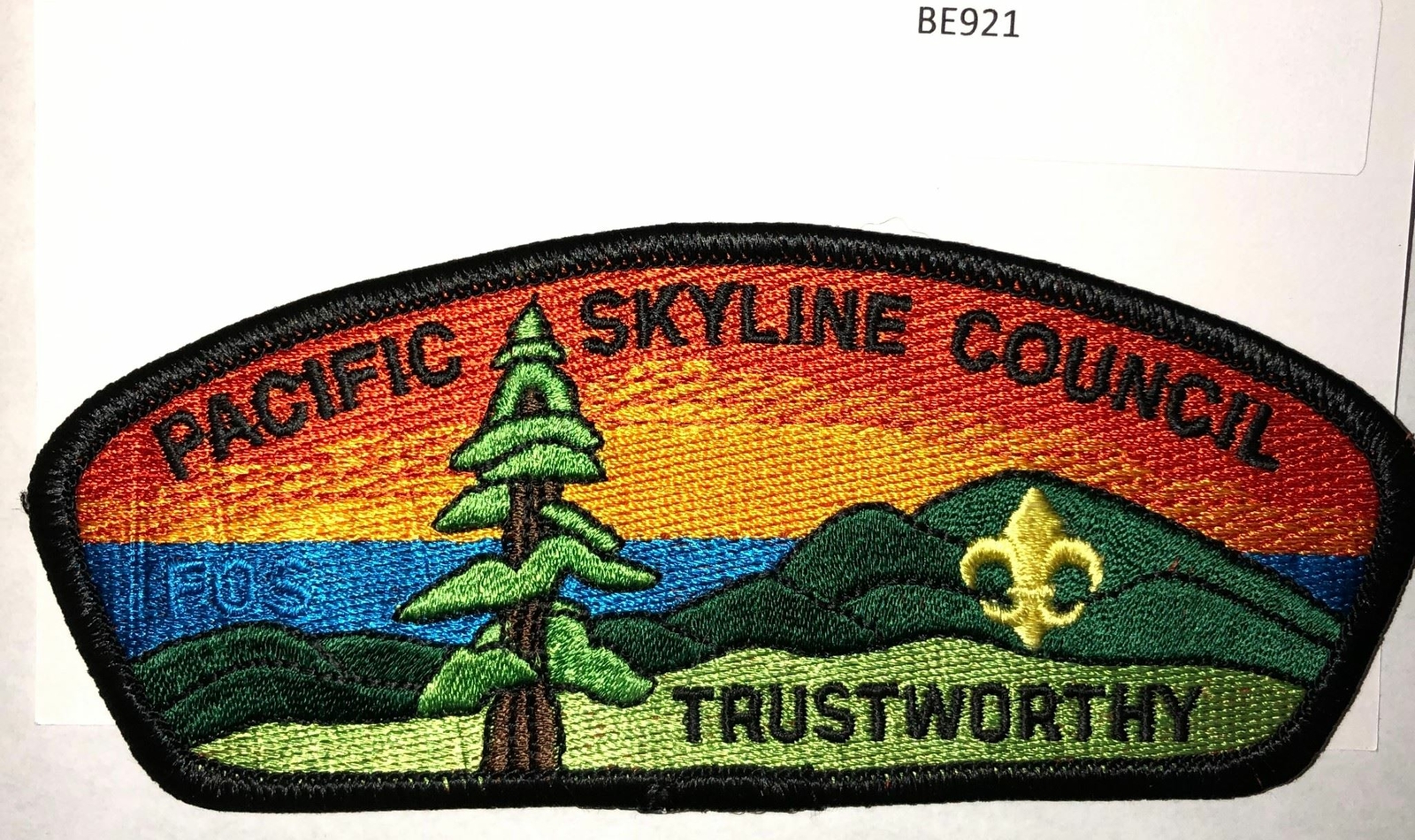 Boy Scout Pacific Skyline Council Trustworthy FOS CSP | eBay