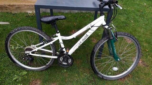 Apollo Craze 24" Wheel 18-Speed Junior Mountain Bike - White for sale ...