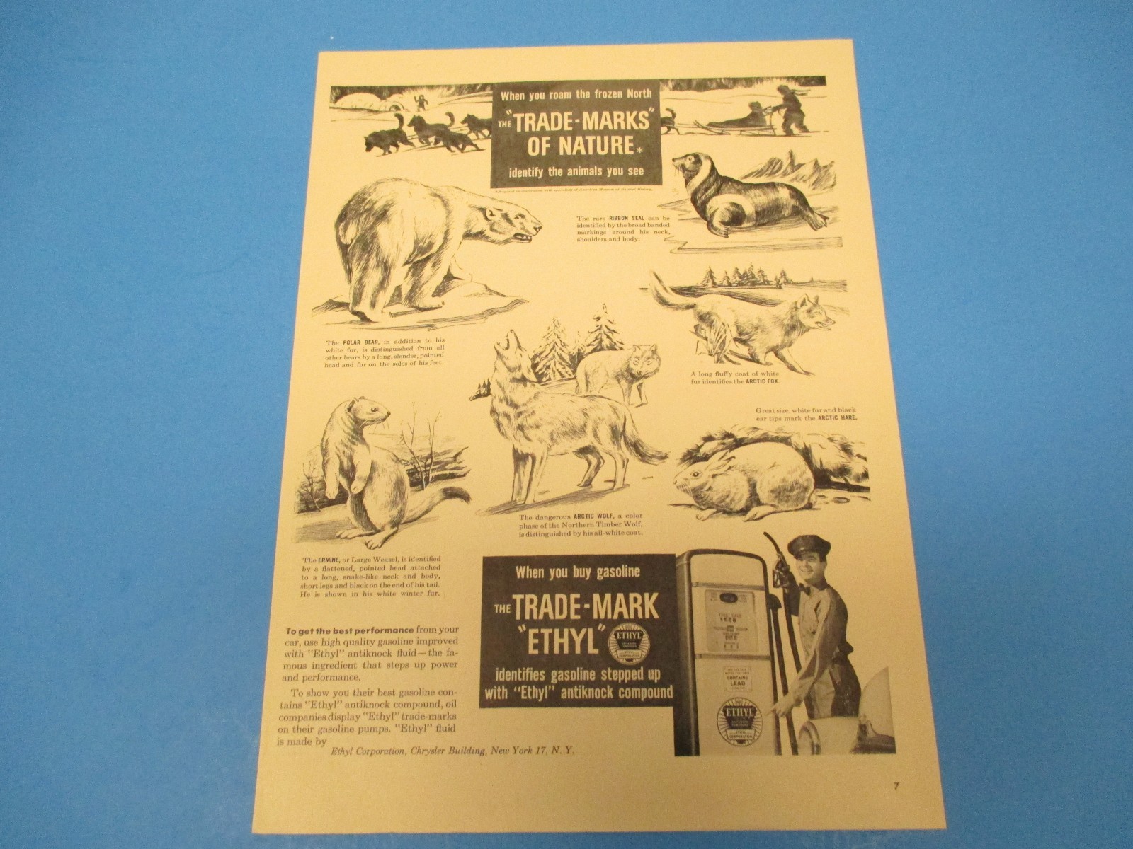 1948 Print Ad, Trade-Mark Ethyl Gasoline, antiknock compound, Ethyl ...