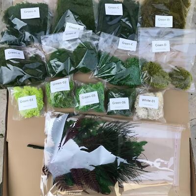 DIY Crafts Assorted Moss Kit Mixed Preserved Moss for Art Home Decor ...
