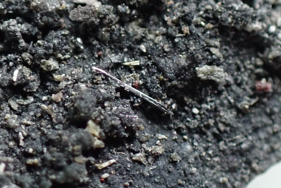 SELENIUM * CRYSTALS ON MATRIX * VERY RARE !!! Ronneburg, GERMANY | eBay