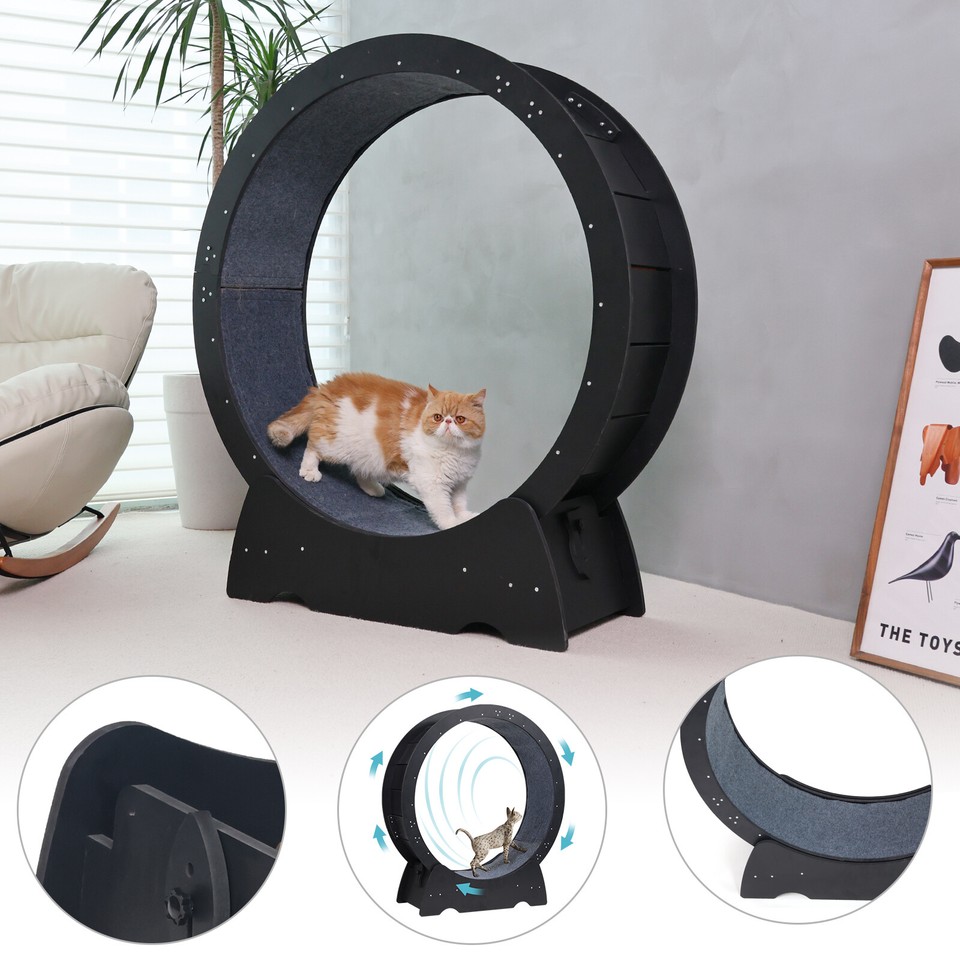 RYpetmia Cat Exercise Wheel Large Wooden/PVC Cat Treadmill Running ...