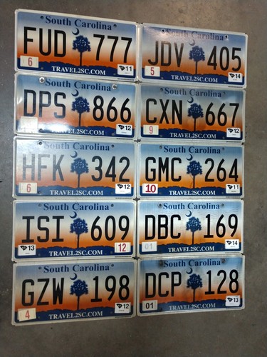 Lot of 10 South Carolina License Plates Sunrise Palmetto Tree SC | eBay