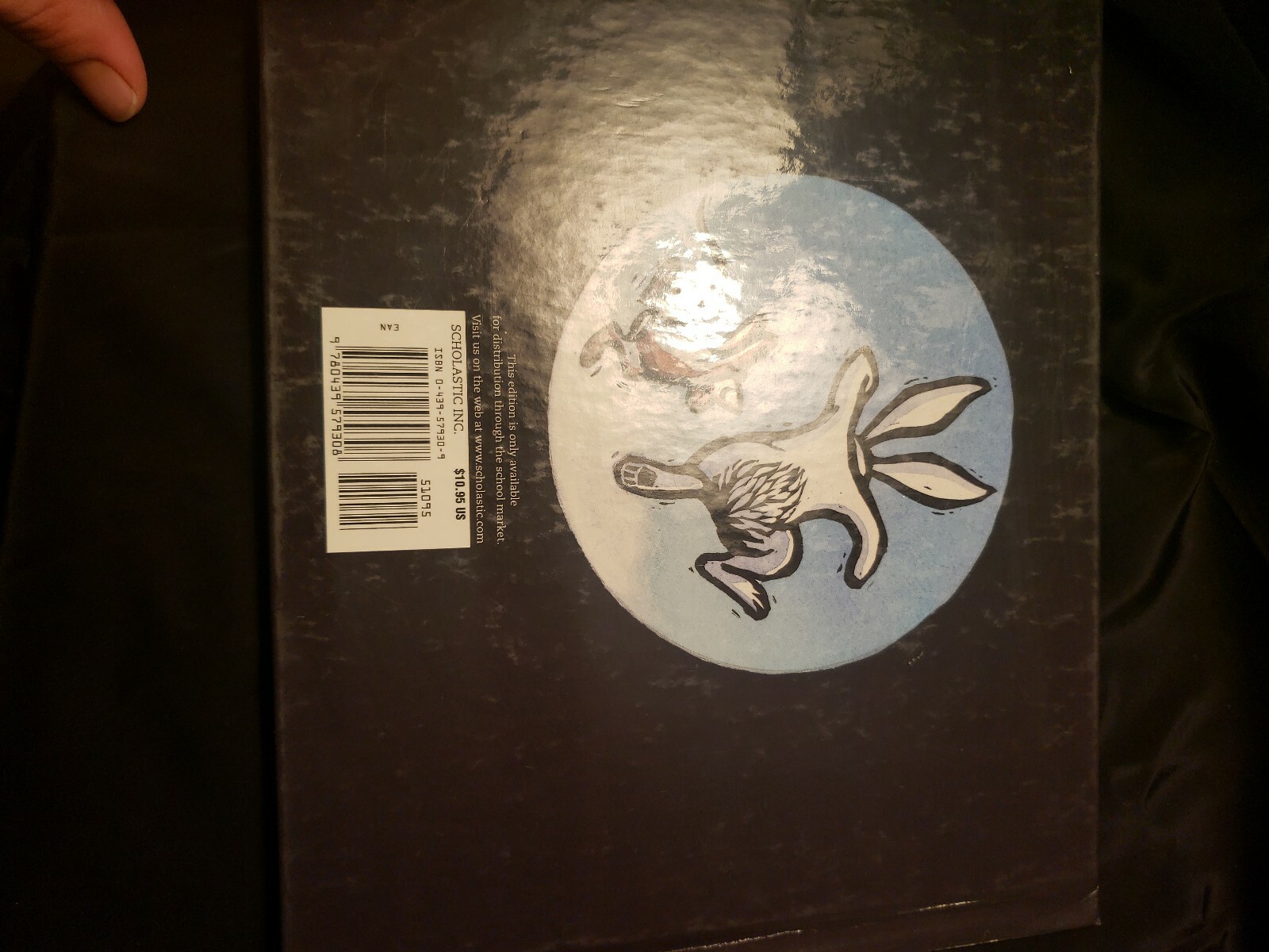 My Friend Rabbit: By Eric Rohmann 9780312367527| eBay