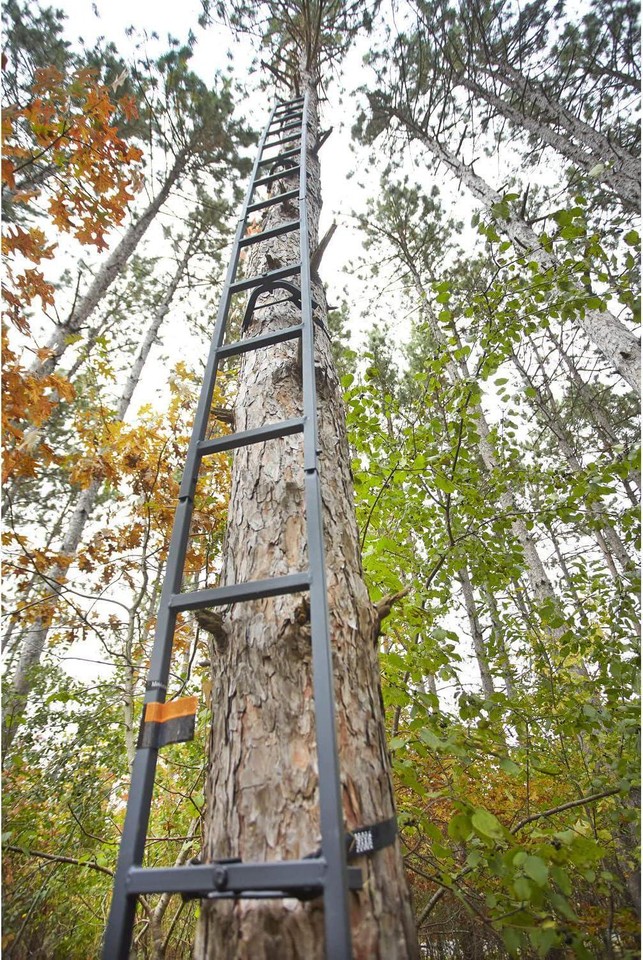 20' Tall Climb Tree Stand Ladder Deer Outdoor Hunting Climbing Stick ...