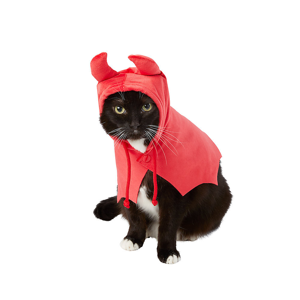 Devil Cat Horns Devil Cat 26.5 Cm – Kutuleras