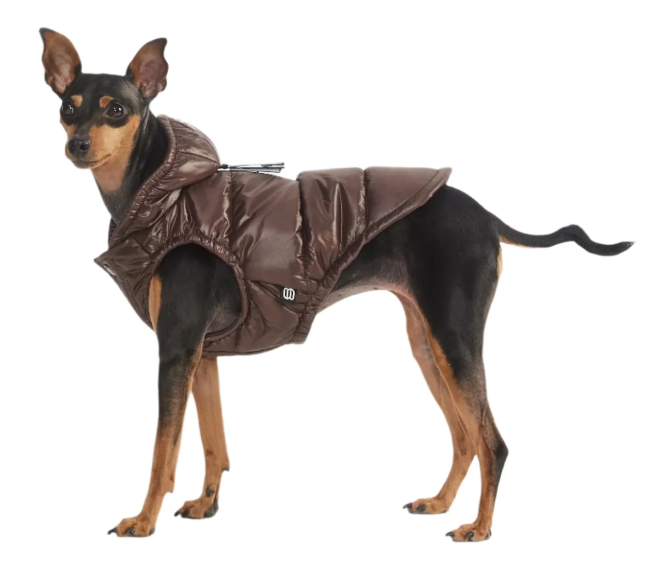 Aritzia The Super Ruff Puff (Dog Jacket) Hi-Gloss | Rich Mocha Brown ...