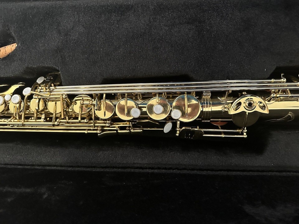 IW 661 Straight Alto Saxophone - Professional Model! | eBay