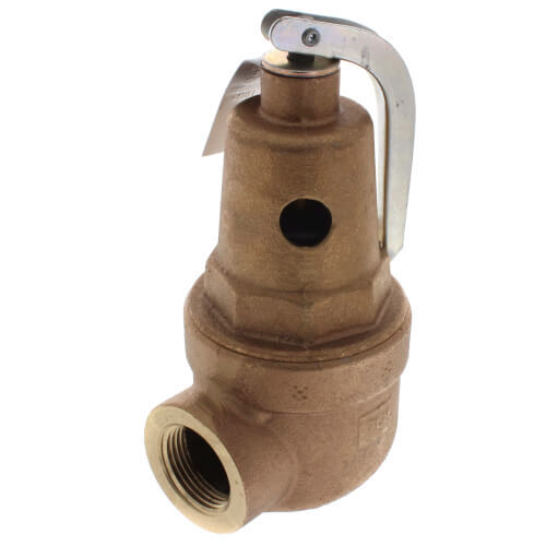 Apollo Valves 10-605-10 1 Inch FNPT RVW60 Hot Water Relief Valve ...