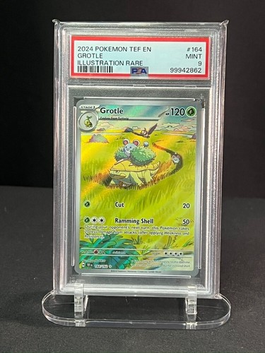 PSA 9 Grotle – 2024 POKEMON TEF EN Illustration Rare – Pokémon TCG | eBay