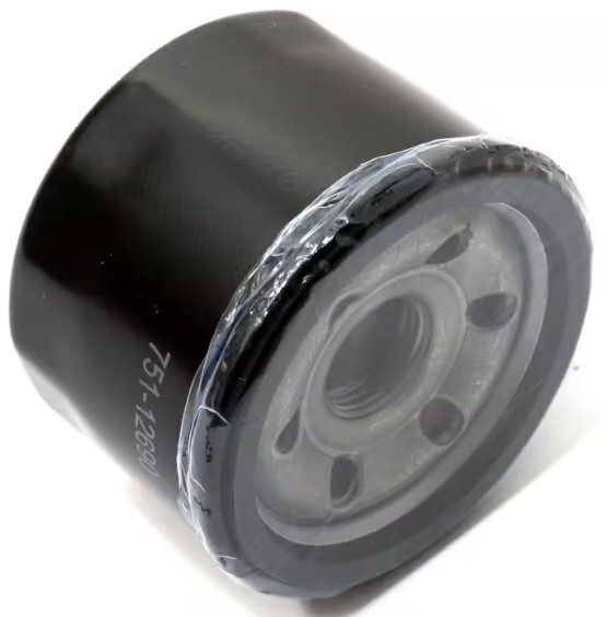 Cub Cadet 490-201-C010 Lawn Mower 382, 420, 452, 547 cc Engine Oil ...