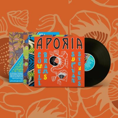 Sufjan Stevens & Lowell Brams Aporia Vinyl LP Record & MP3! Indie New ...