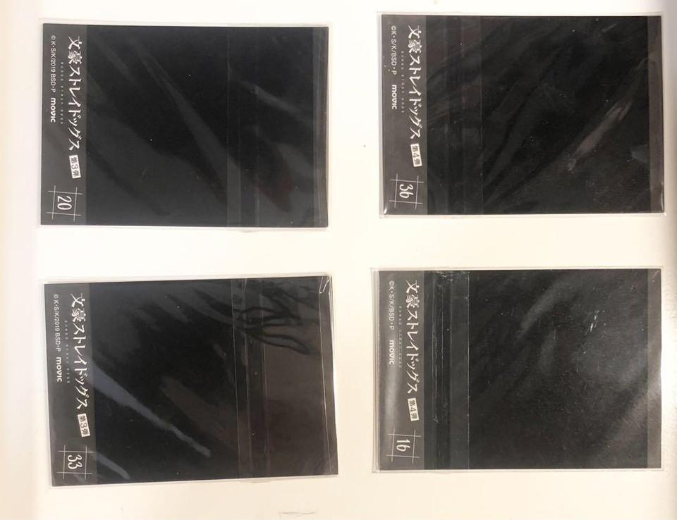 Bungo Stray Dogs Fyodor Dostoyevsky Literature Writer Edogawa Ranpo ...