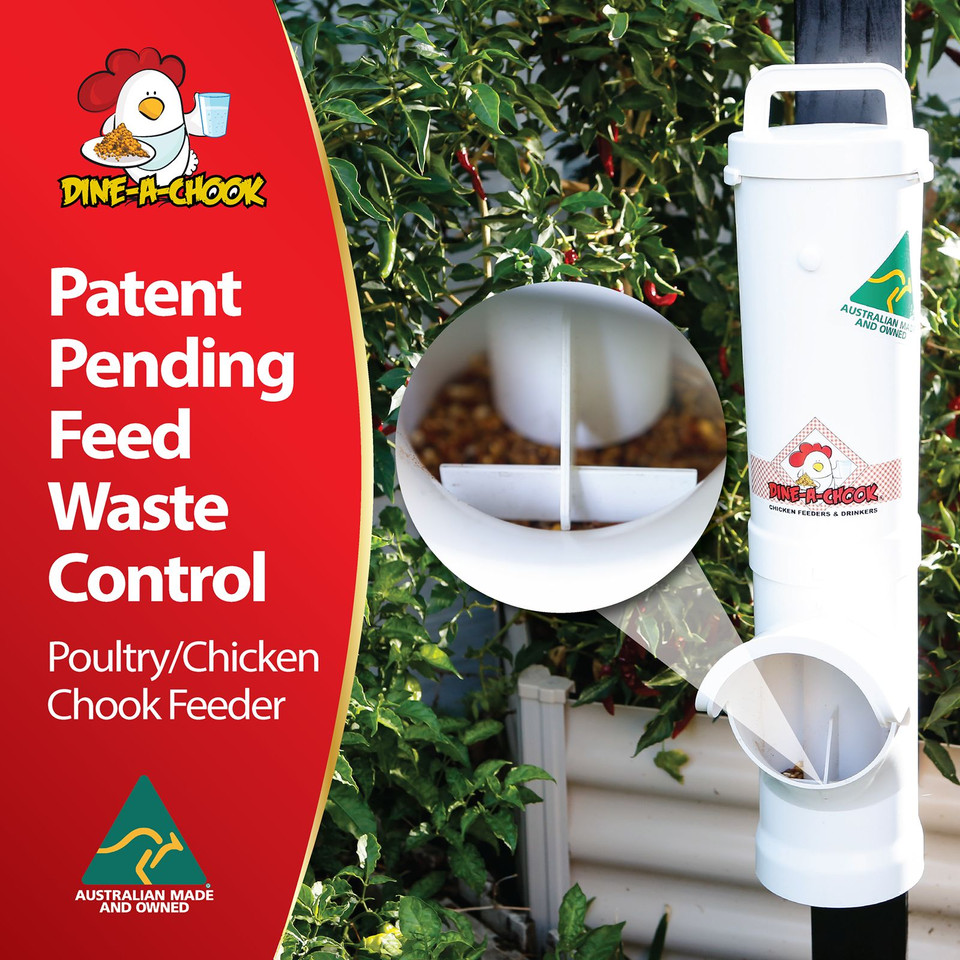 DINE-A-CHOOK Chicken Feeder & Drinker Set / Chook Waterer / Poultry ...