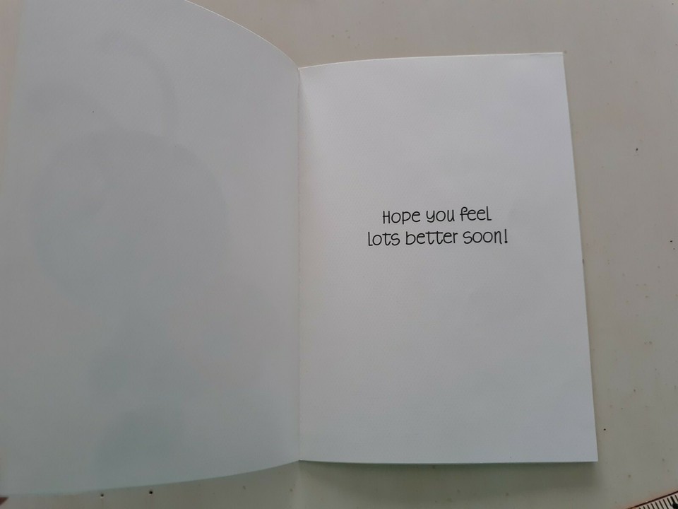 New Vintage Get Well Card LADYBUG Ambassador Cards Did You Catch A Bug ...