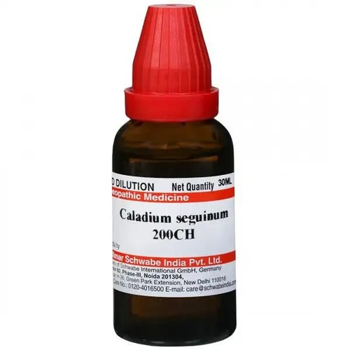 Dr Willmar Schwabe India Caladium Seguinum Dilution 200 CH | eBay