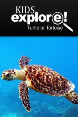 Turtle or Tortoise - Kids Explore : Animal Books Nonfiction - Books ...