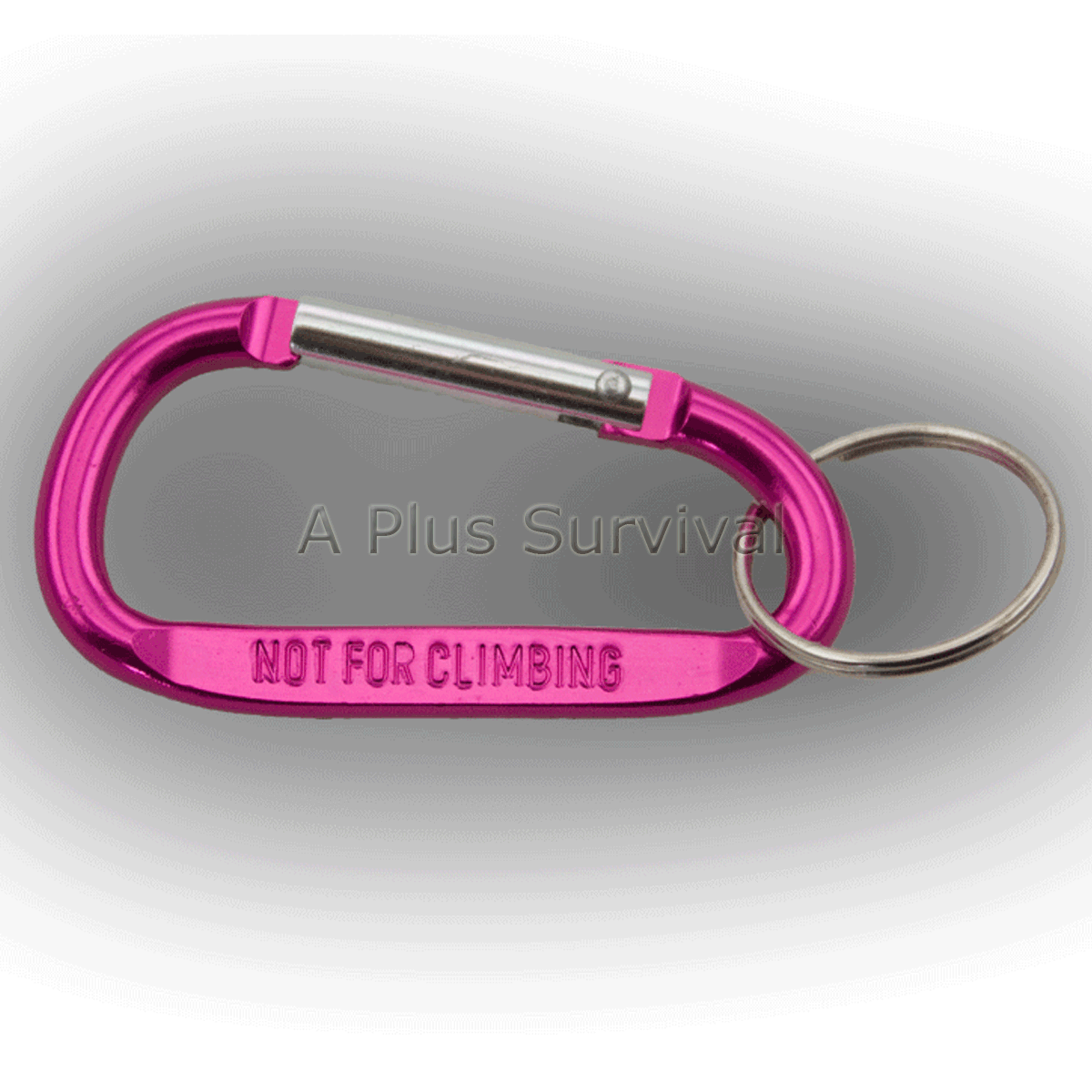 2 Pack Medium Carabiner Keychain for Backpack Belt Camping Survival Kit ...