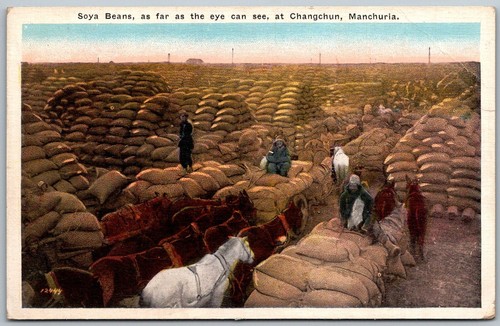 Changchun Manchuria China 1920s Postcard Soya Beans Farming Horses | eBay