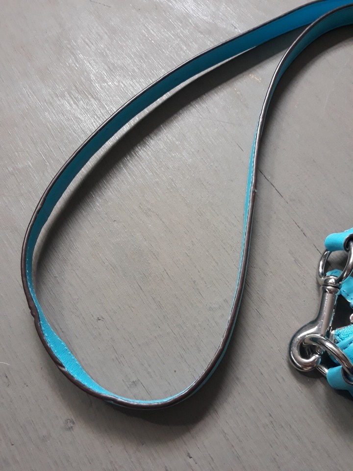 Coach 47989 Tourmaline Turquoise Teal Blue Leather Swingpack Shoulder ...