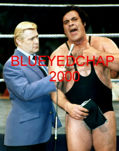 ANGELO MOSCA & PAT PATERSON WRESTLER 8 X 10 WRESTLING PHOTO NWA WWF | eBay