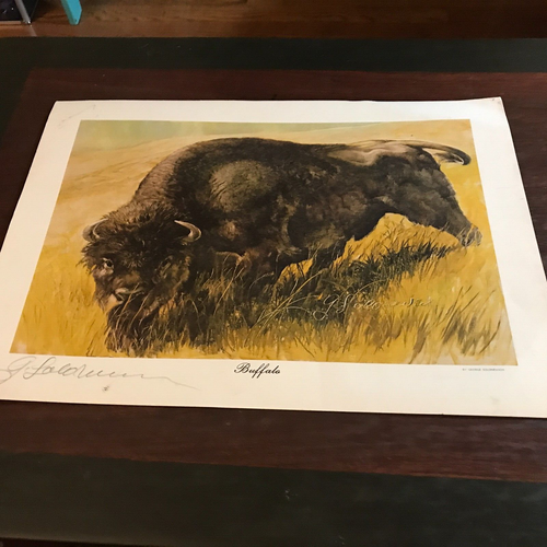 "Buffalo" by George Solonevich SIGNED Print | eBay